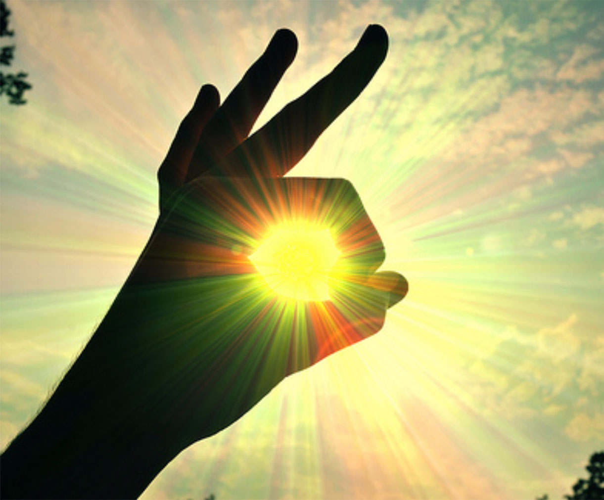 Do What Lights You Up - Karena Kilcoyne